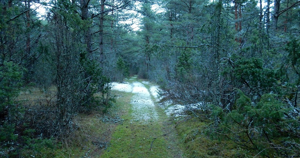KIIRI SAARe loominguline ajaraamat VIHMA HÄÄL: Talvine Hiiumaa