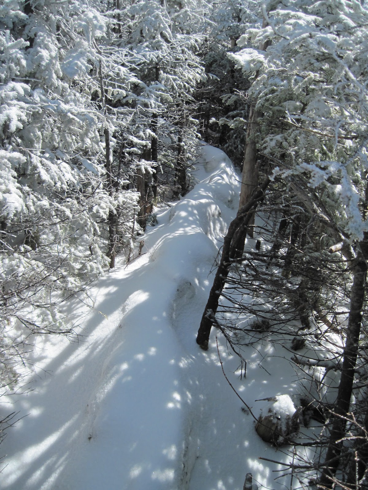 ScAtTeRbOnE's ADVENTURE'S: TABLETOP MTN ADK 46er (The "Beardcicle" Hike)