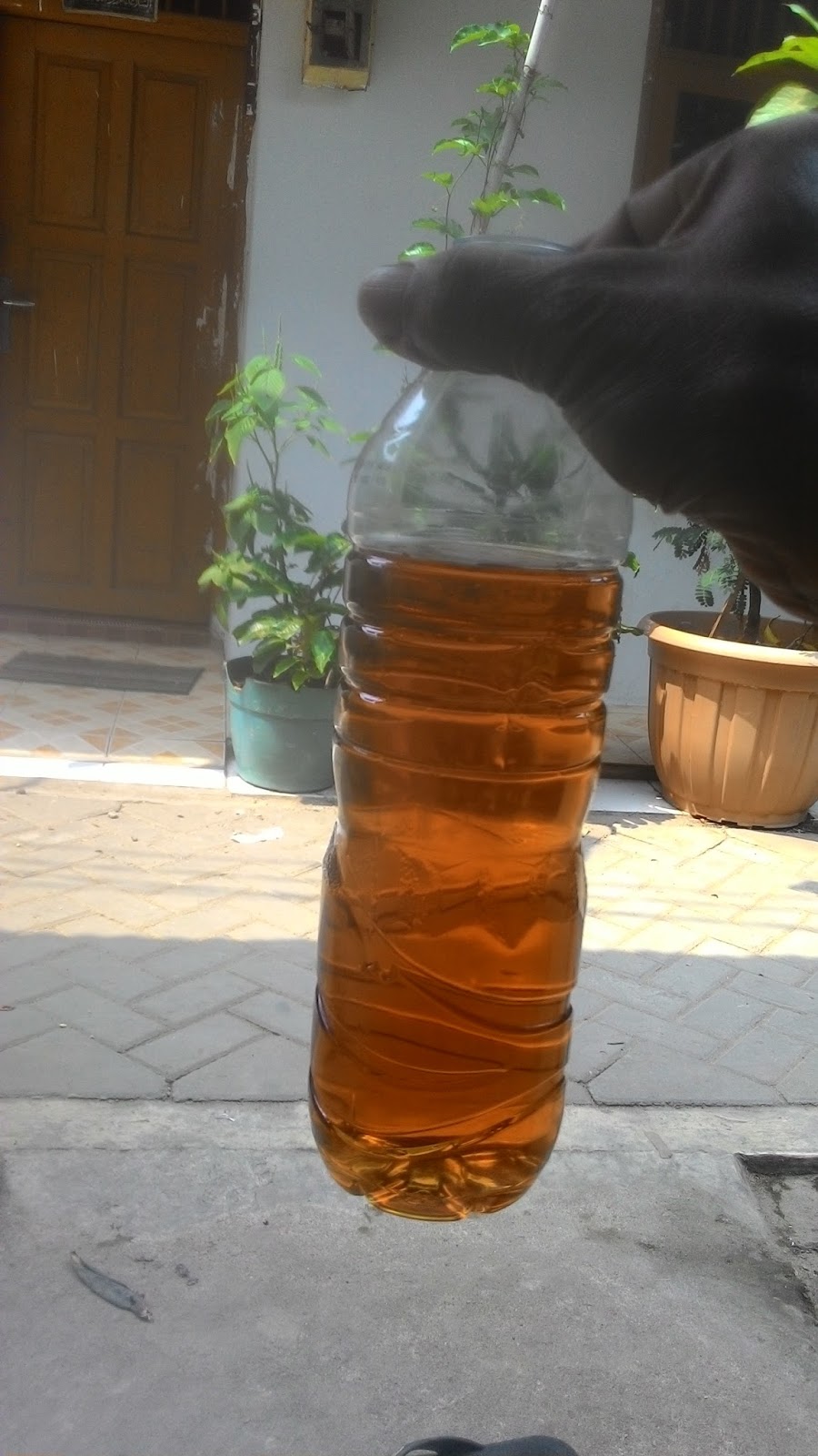 coconut shell liquid smoke: coconut shell liquid smoke