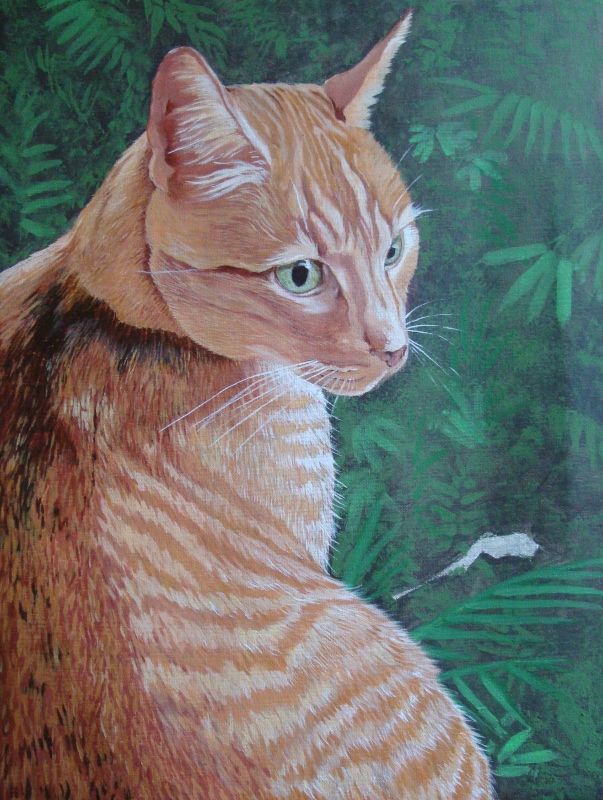 Artist Elfi Bonn - Welcome to my Paradise Studio: EL GATO "MANGO ...