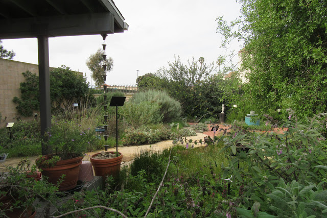 Mother Nature's Backyard - A Water-wise Garden: Current Photos of ...