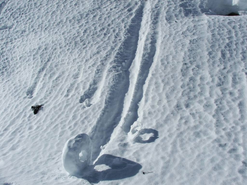 Snow Rollers: Nature’s Winter Treat ~ Kuriositas