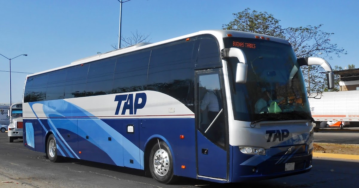 Transportes y Autobuses del Pacífico: TAP - Bus-México