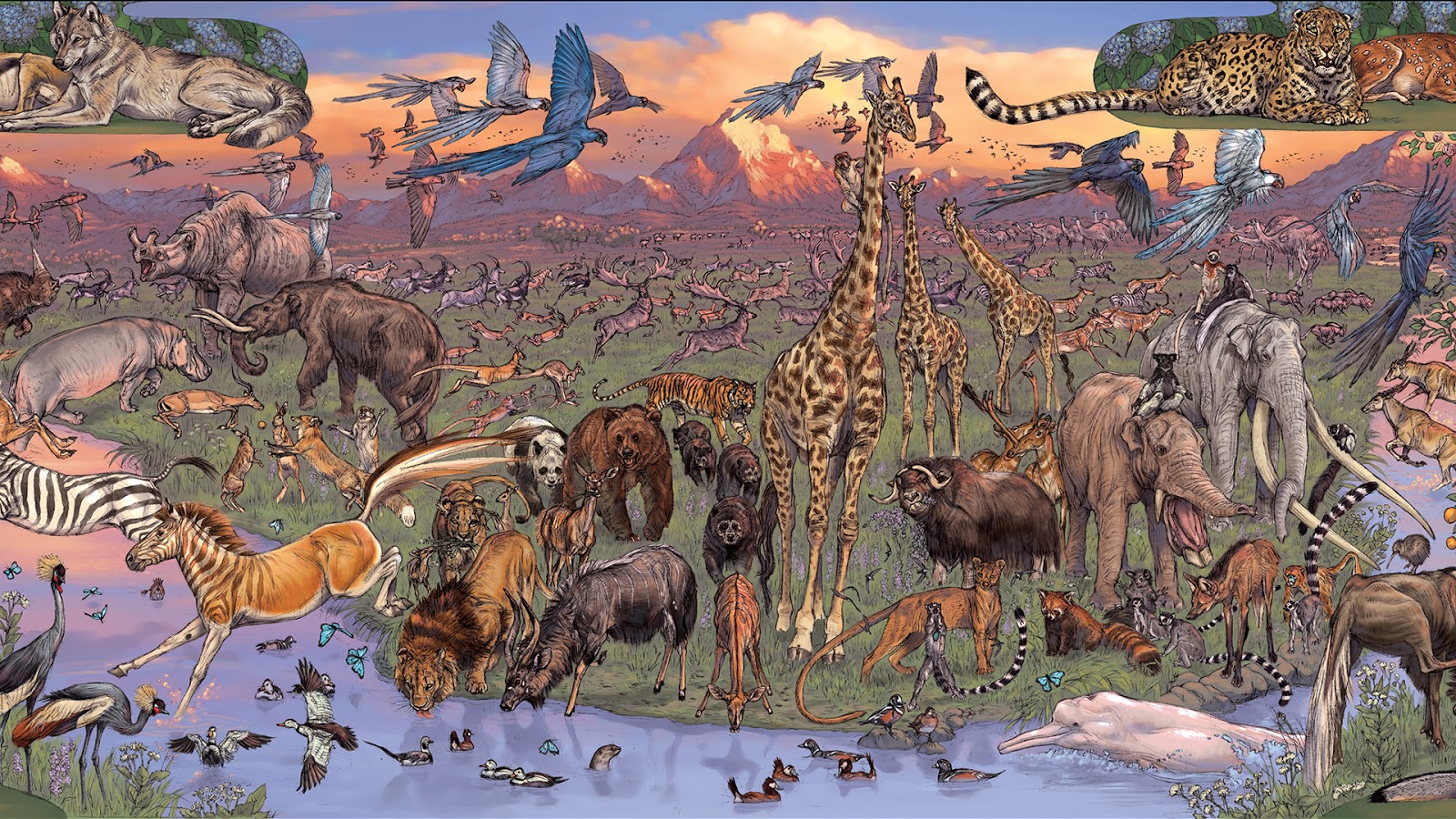 Behind the Scenes at Stuart Ng Books: Horse Show 2015 -- Terryl ...