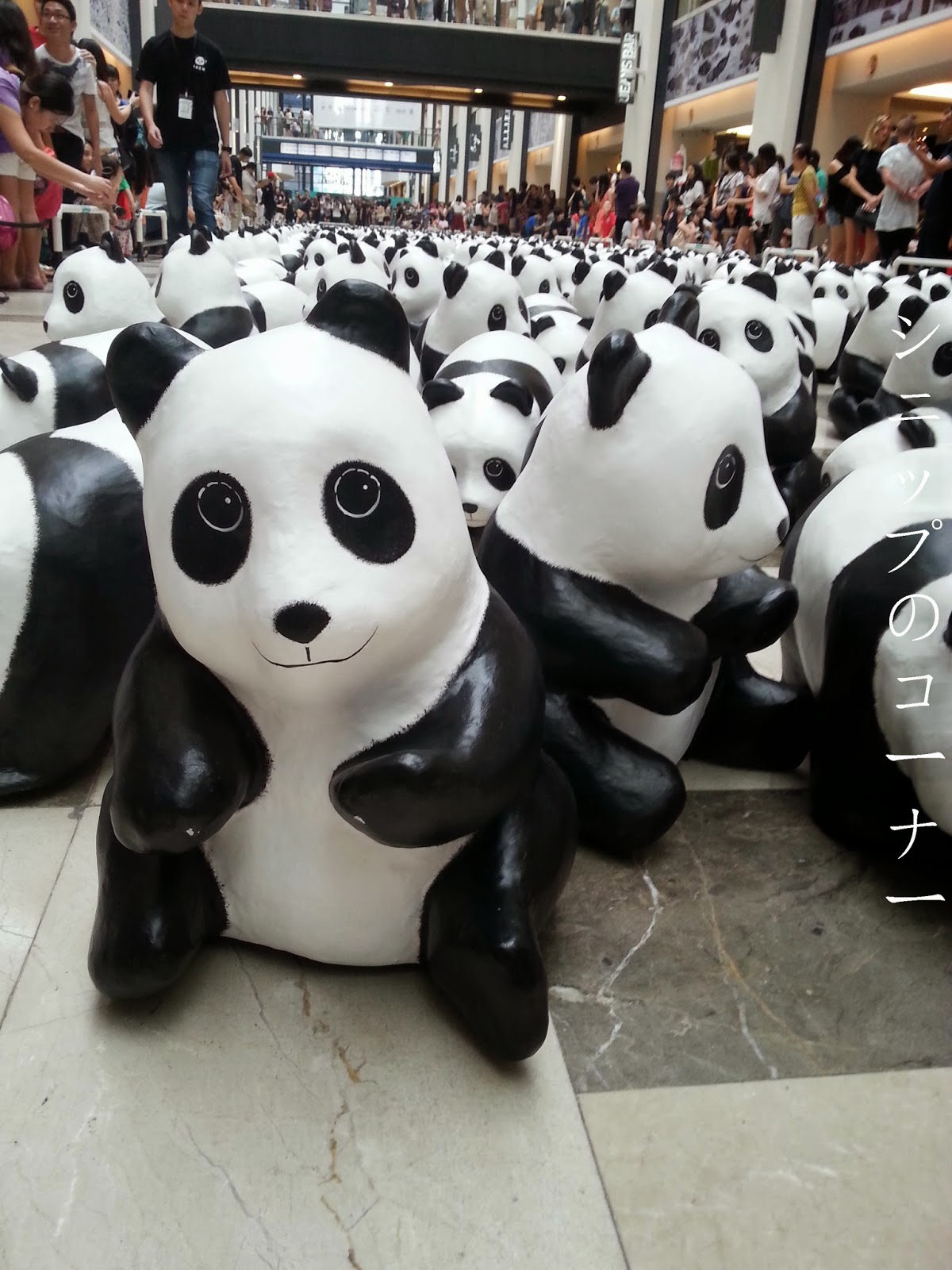 Paper Marche Panda Workshop - CANTUSLUPUS.COM