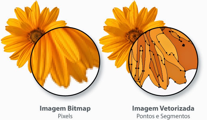 Qual a diferença entre Bitmaps e Vetores? | Designer Guilherme Kayan