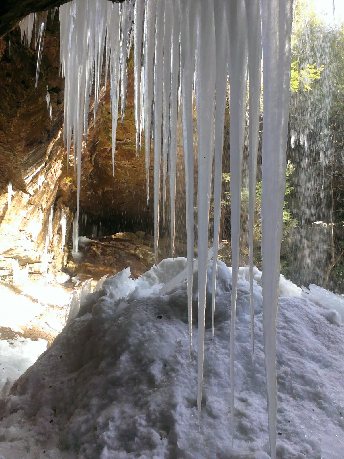 TRAVELING on a BUDGET : Northrup Falls located at Colditz Cove State ...