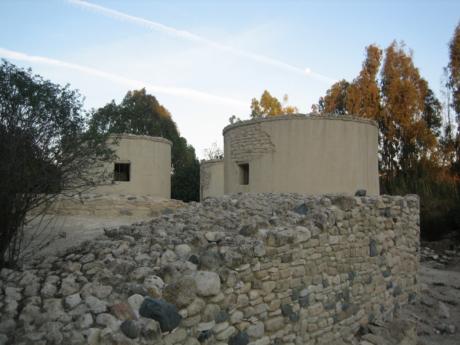 stuffedveggies: Greek Broad Beans (Fava Beans or Koukia)