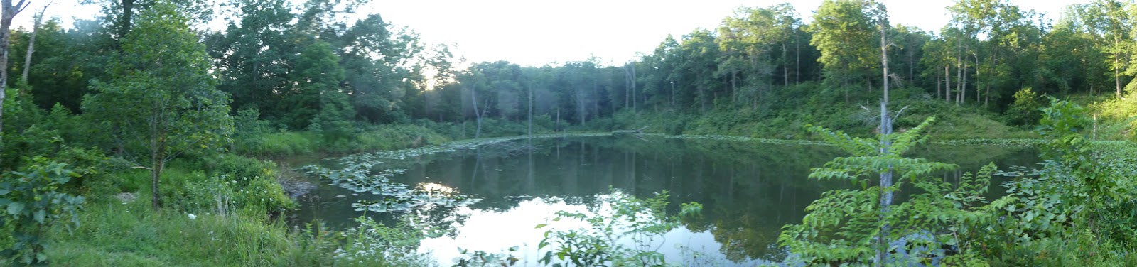 The Missouri Mom: Blue Pond - deepest known sinkhole pond in Missouri.