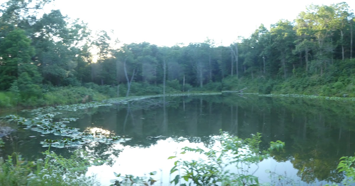 The Missouri Mom: Blue Pond - deepest known sinkhole pond in Missouri.