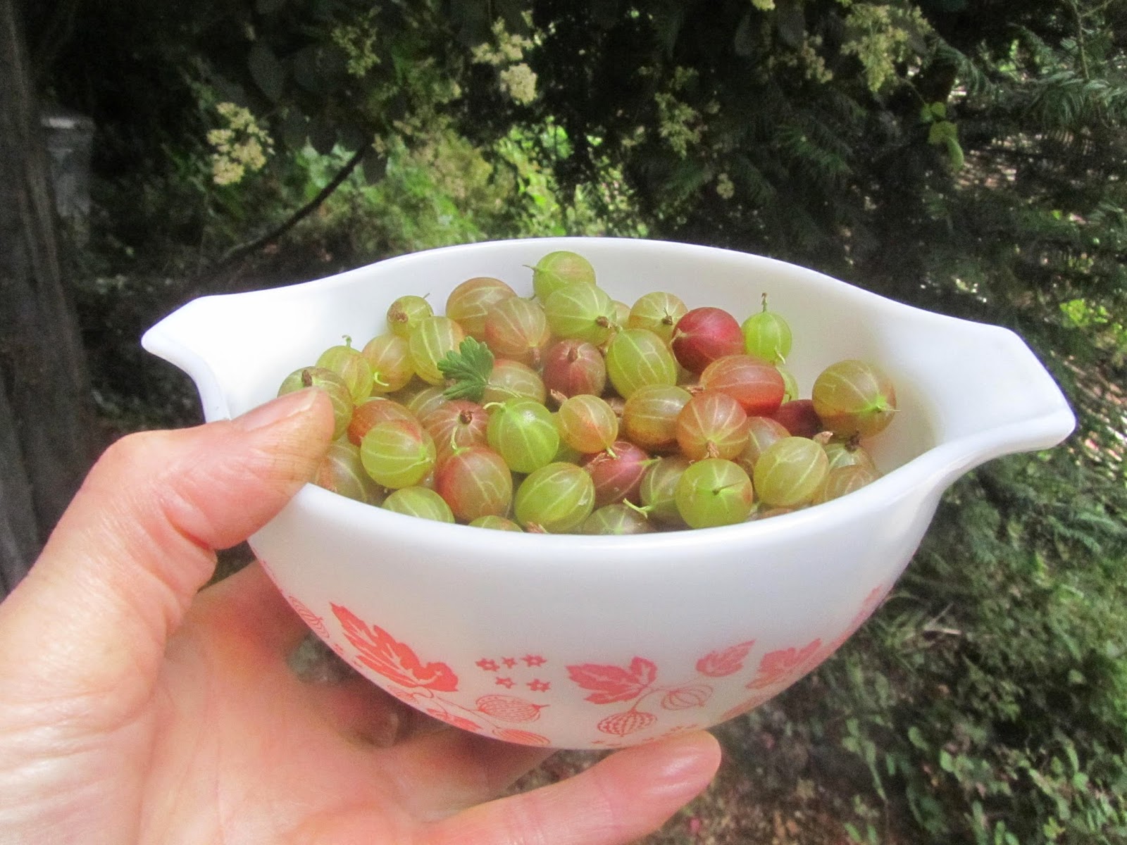 Love Making Things: Pink Gooseberries