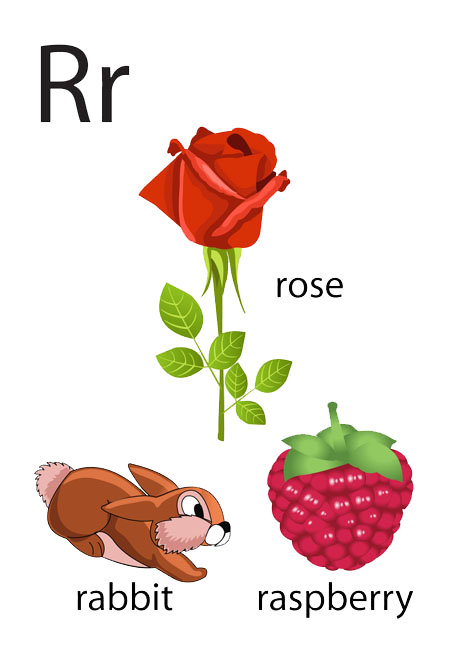 ABC Alphabet for Kids: R r