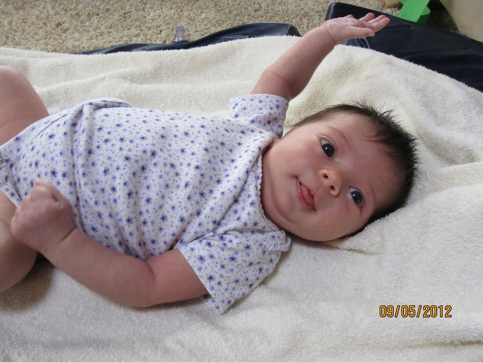 Elephant Sounds: Nakey is best!