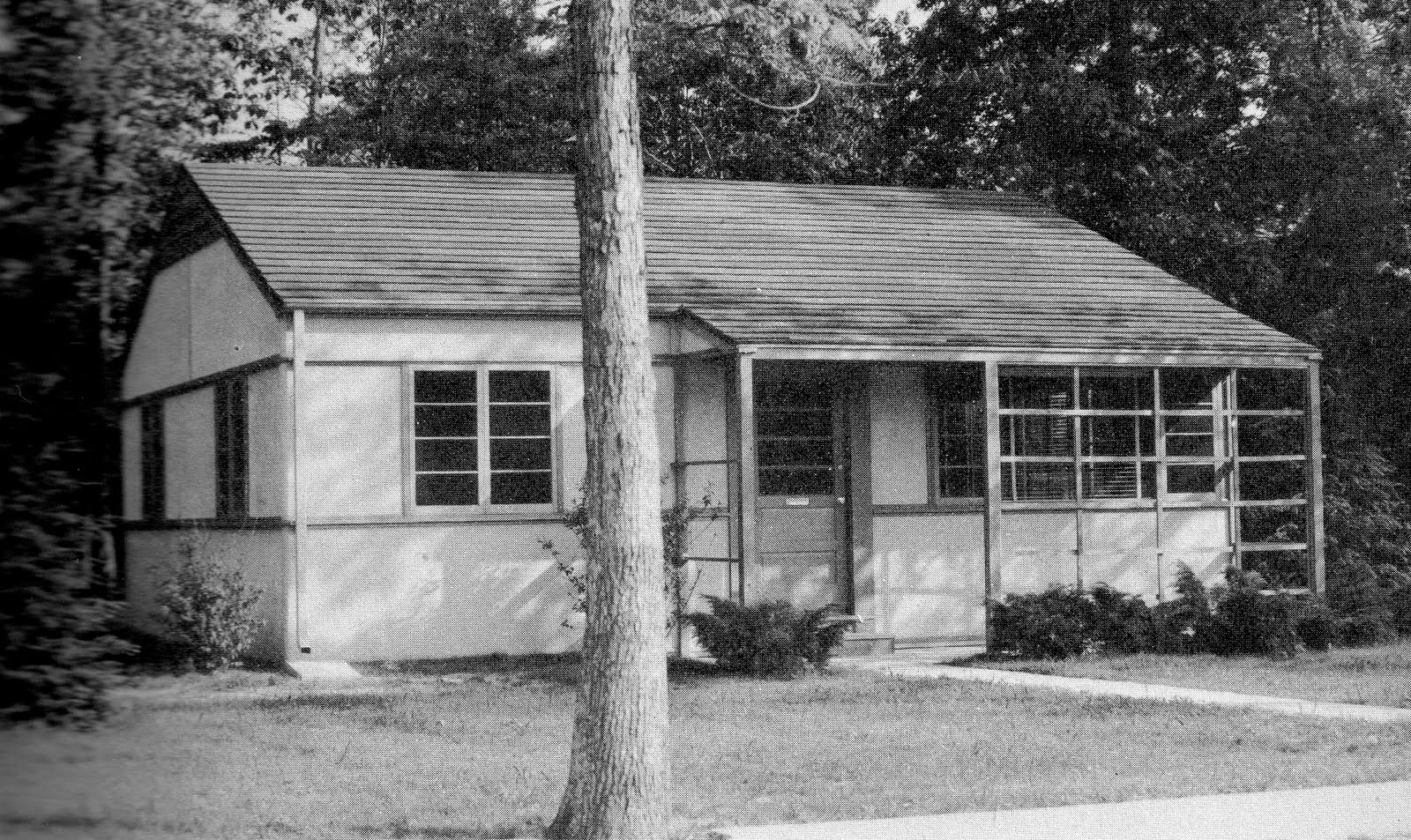 Instant House: Celotex Cemesto Homes