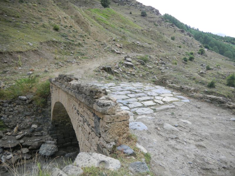 EVERYTHING ABOUT TORUL: HISTORY OF TORUL