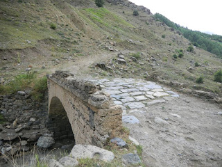 EVERYTHING ABOUT TORUL: HISTORY OF TORUL