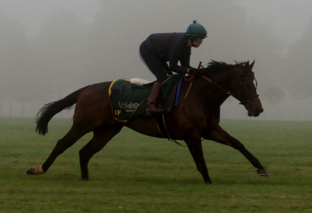 Julia Feilden Racing