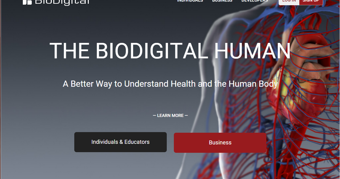 Biodigital Human : Virtual Anatomi Tubuh Manusia 3 Dimensi