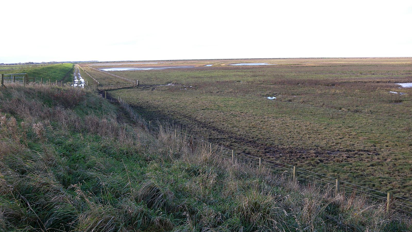 Jim's Birding: Hesketh Out Marsh and Marshside RSPB Reserves