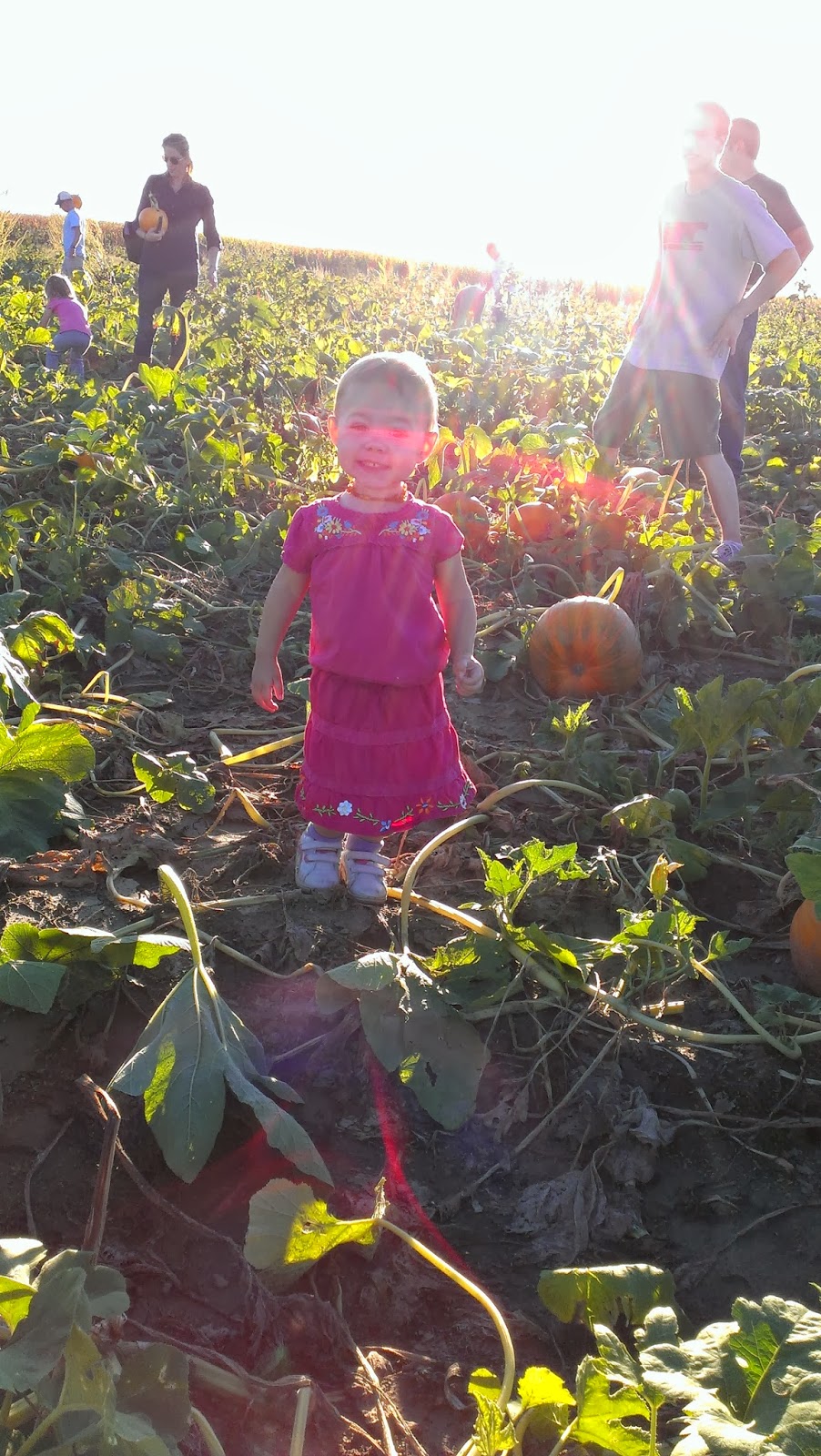 Candle in the Night: Pumpkin Patch Fun