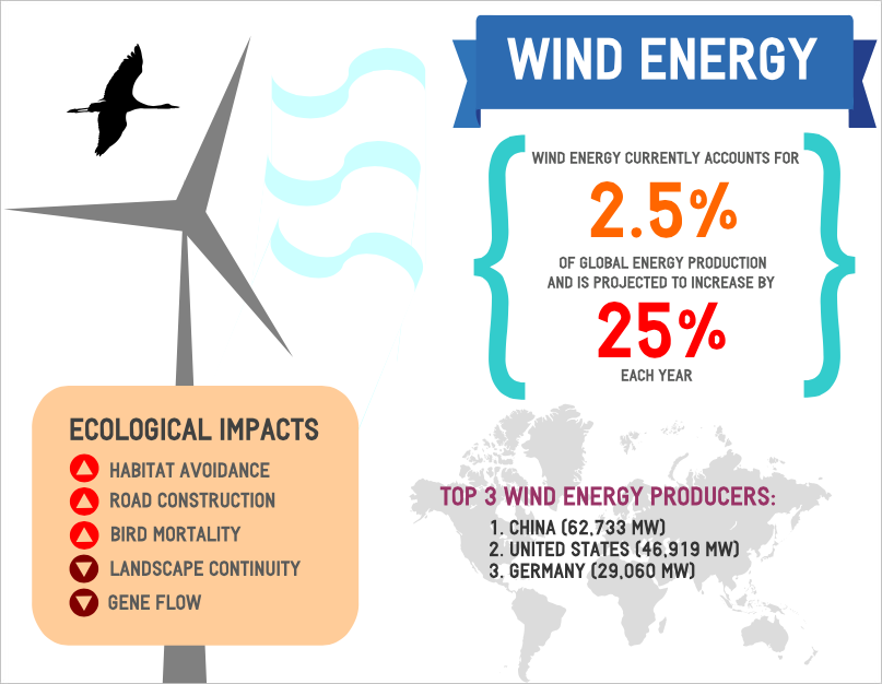 Conservation Complications of Alternative Energy: Wind