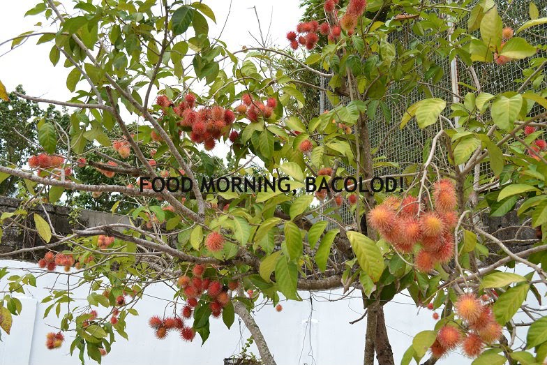 It's Rambutan season once again!