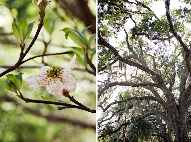 Jennifer Causey Photography: SPRING: SOUTHERN STYLE