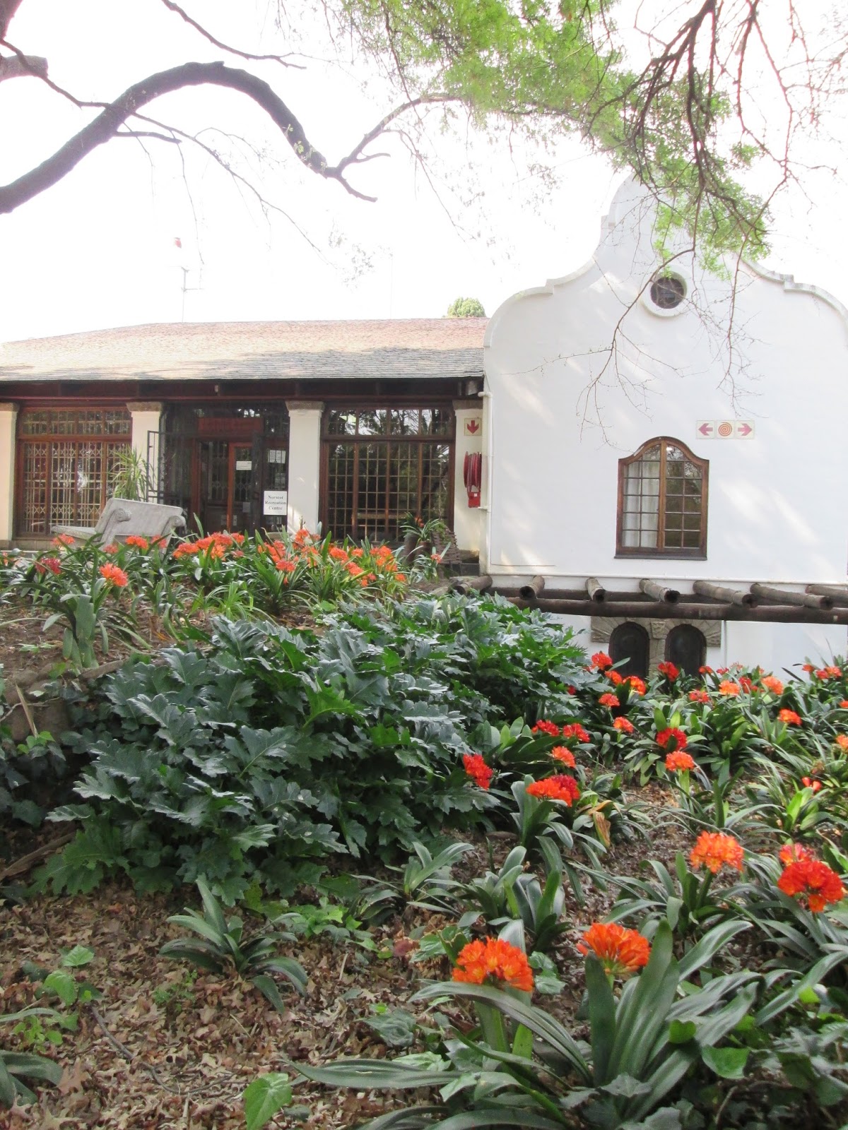 The Great Wildebeest Migration: Save Norscot Manor