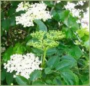 Web - Ovi: Nyári időtöltések 3.