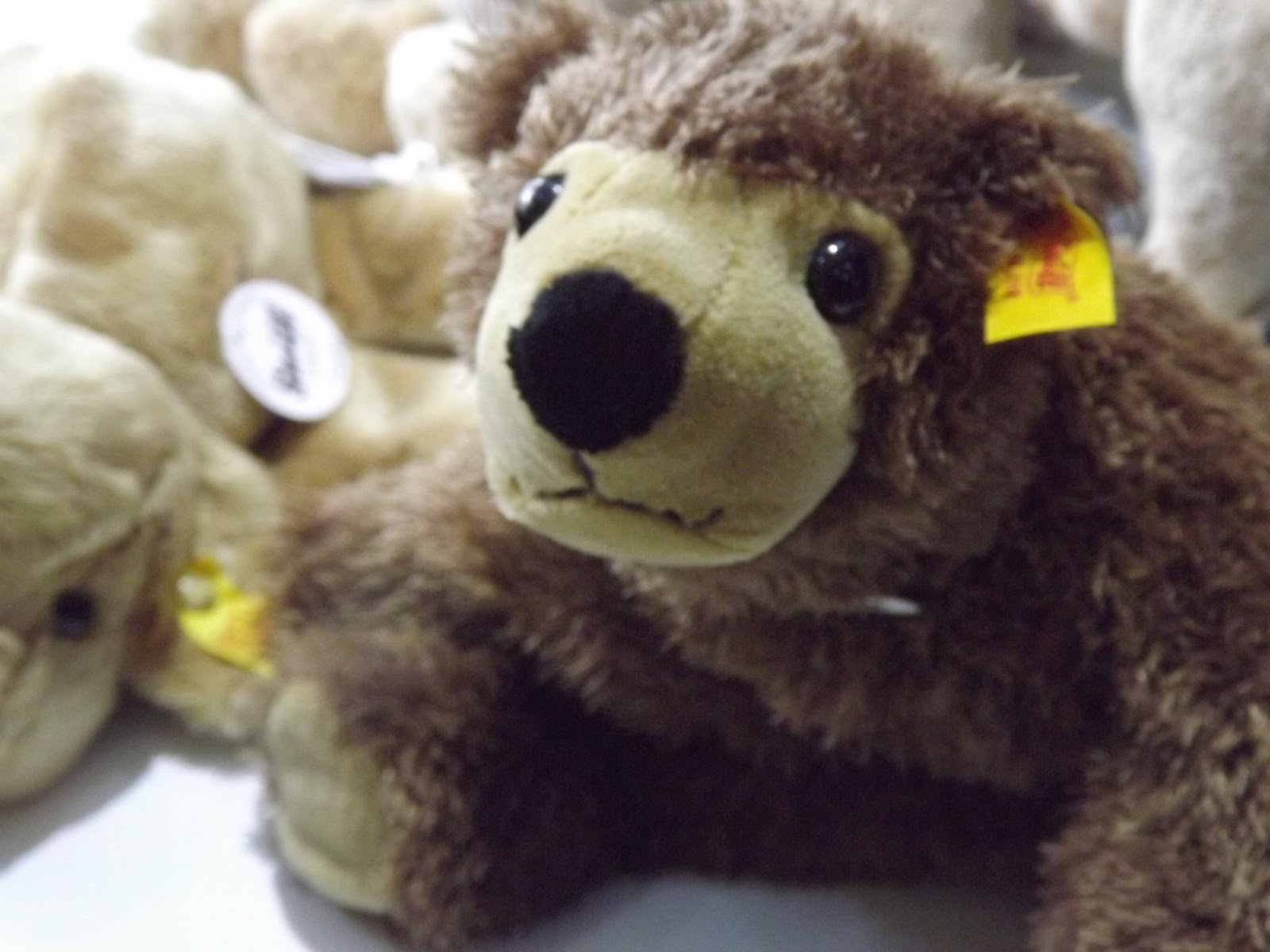 Mums Adventures in the Uk: Bears Galore in Brighton, Sussex.