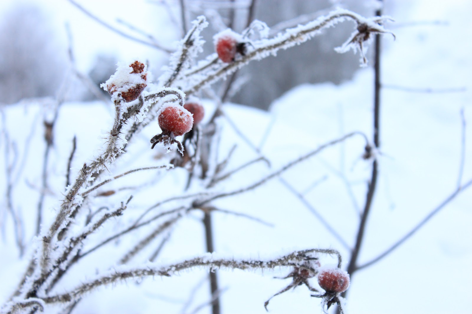 Lähi-Idän 10 kuukautta: Meinasin jo sanoa...