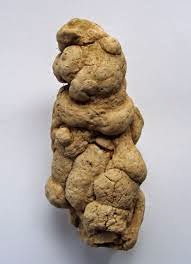 EDUCOLOGIA: LOESS, O PÓ DE PEDRA QUE UM VENTO FRIO LEVOU PARA LONGE