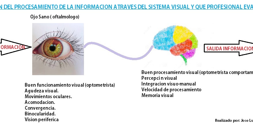 Blog de fisioterapia, logopedia y nutrición en Almería: VISIÓN Y ...