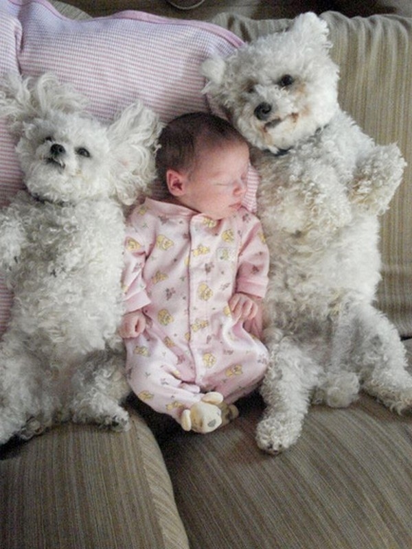 Adorable kids and their pets (25 pics) | Amazing Creatures