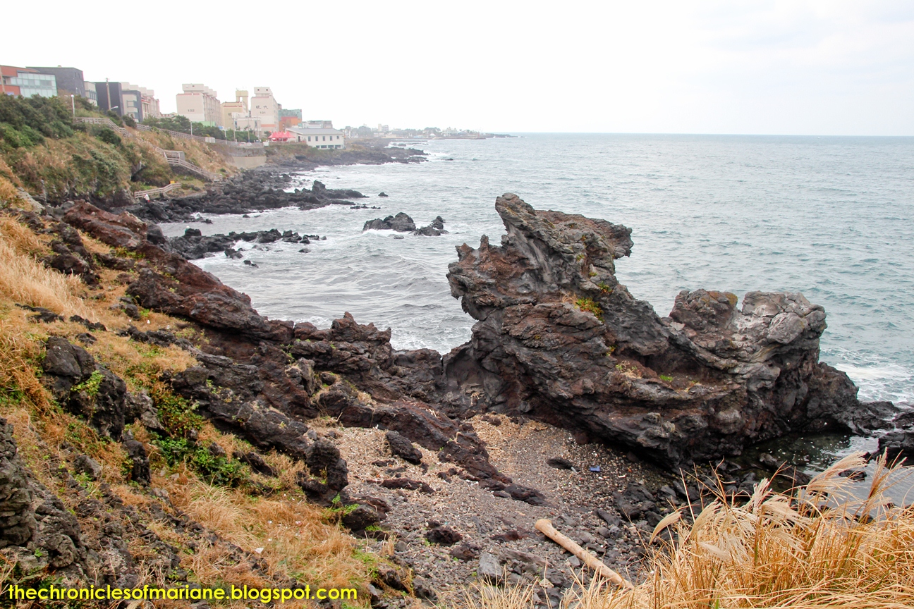 Dragon Rock, Yongduam, Jeju – Day 11 in South Korea | The Chronicles of ...