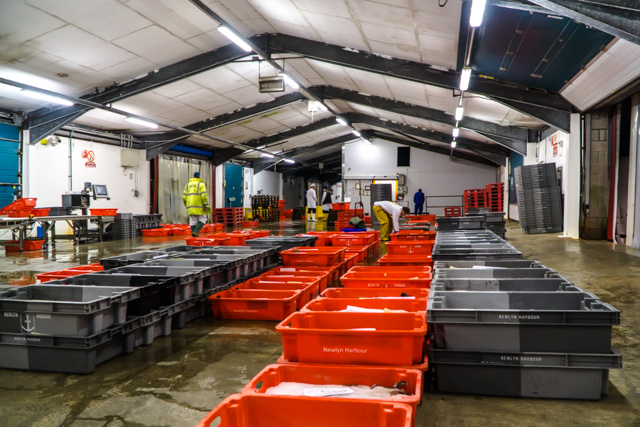 Through the Gaps! - Newlyn Fishing News: Monday morning's market in ...