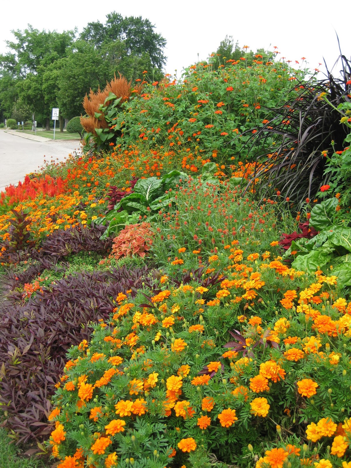 Rotary Botanical Gardens - Hort Blog: Nice To See Kids!