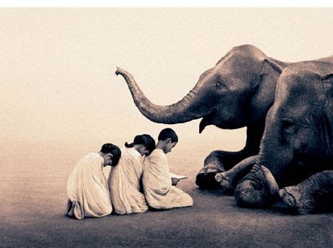 Loja Celeiro: Fotografias / Gregory Colbert.