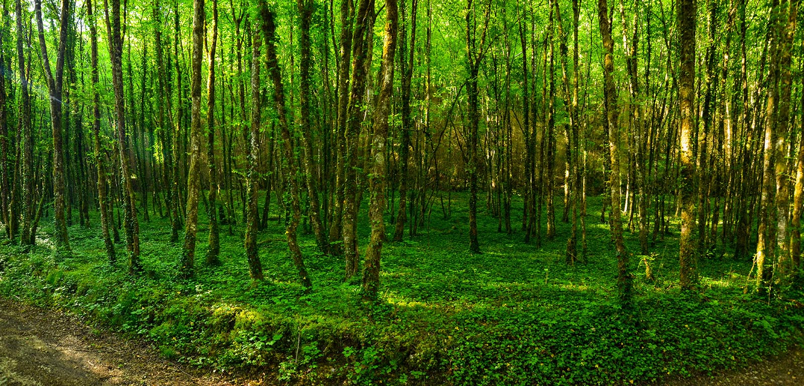 DROMESCAPE - Randonnées en Drôme et Escapades photographiques: Autour ...