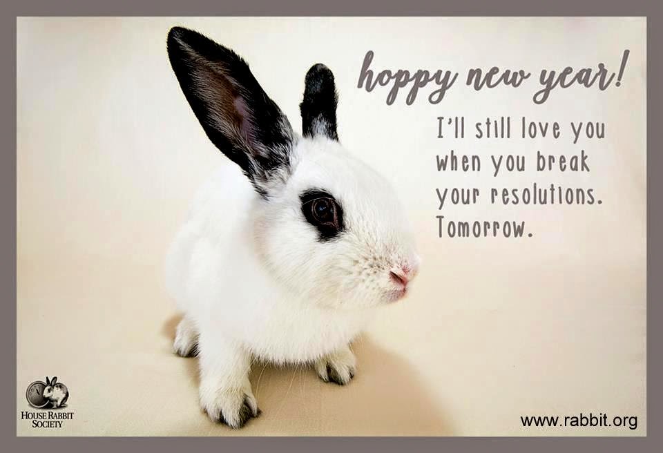 Rabbit Ramblings: Funny Bunny Monday Meme*day