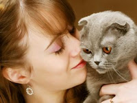 Pericolele parului de pisica: alergiile - Pinguinul machitor ...