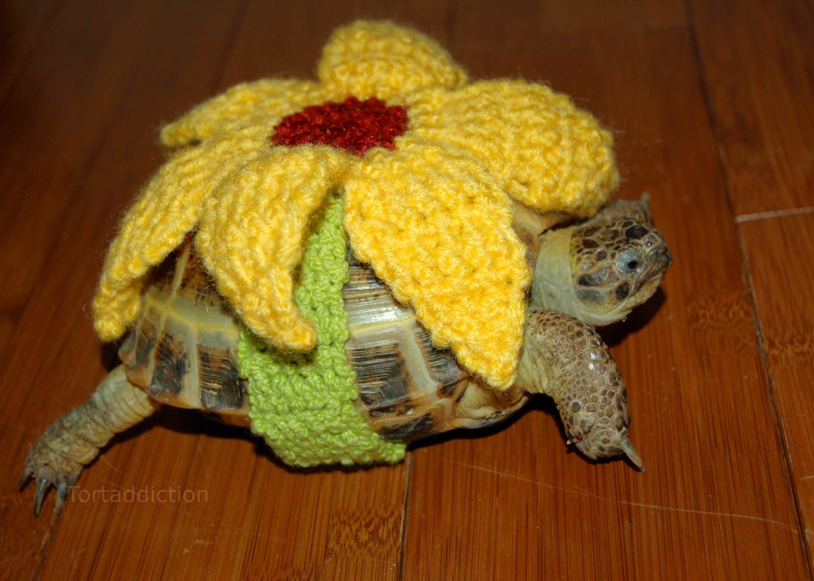 Tortaddiction: Mossy Tortoise Etsy shop is now open!