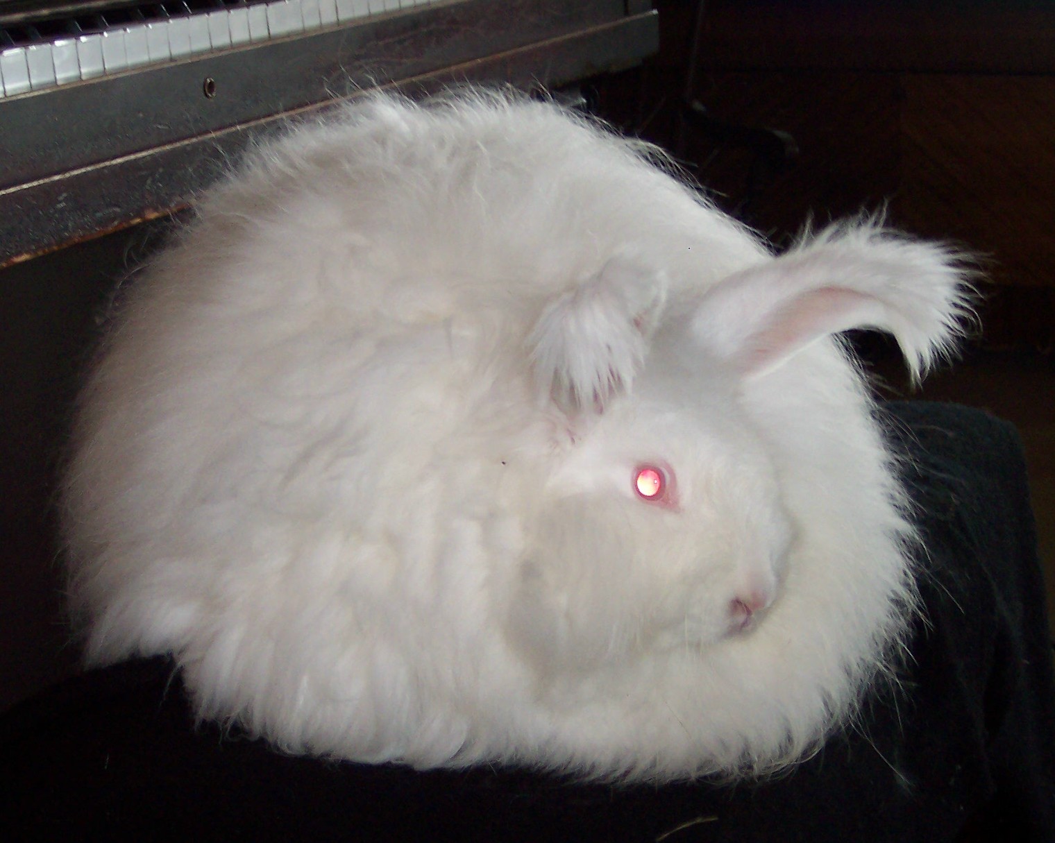 Bloomingdale Farm Natural Fiber and Yarn: Handspun angora merino wool yarn