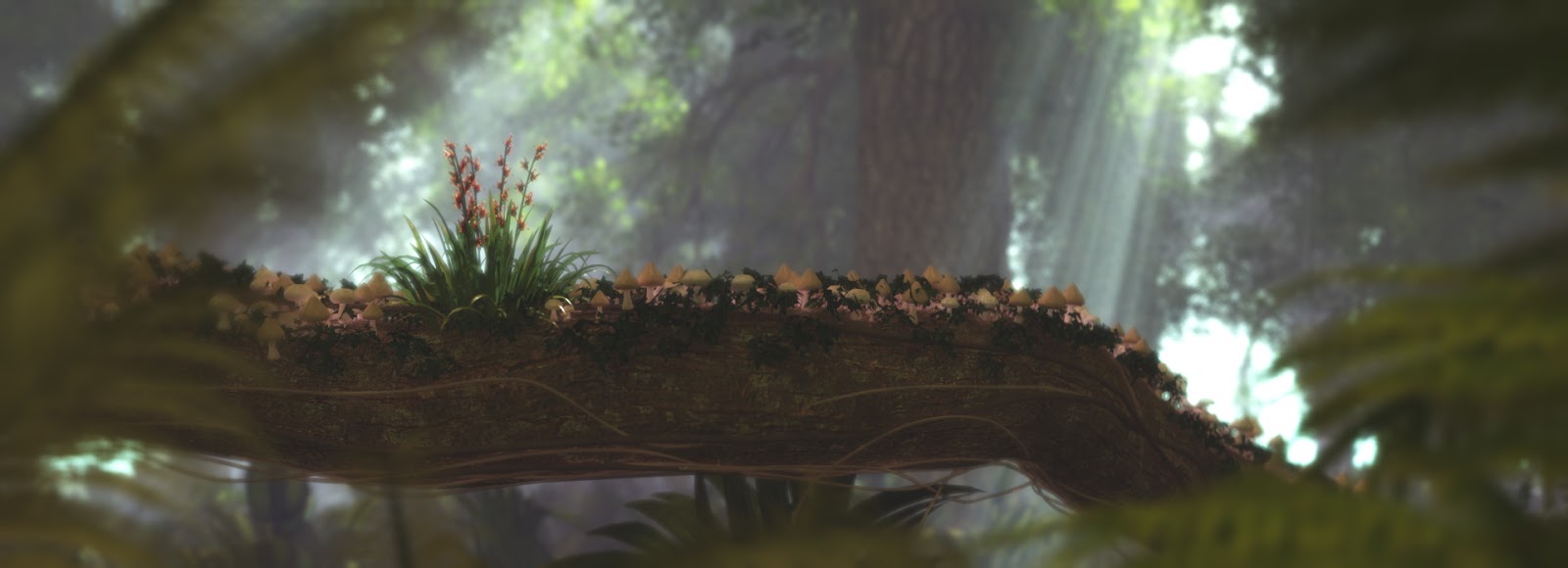 Xfrog Plants; OCEANIA Packs | High-quality Models of Plants | Computer ...