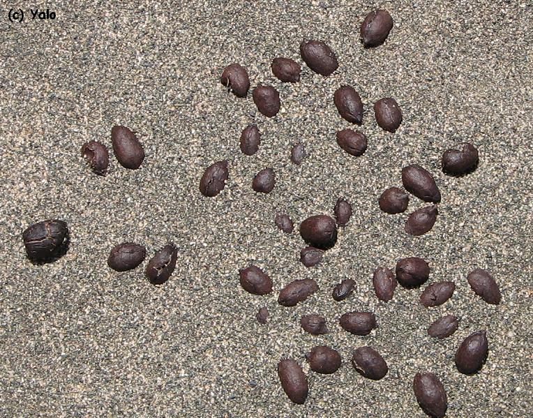 Ningún lugar está lejos... en RD: marzo 2012