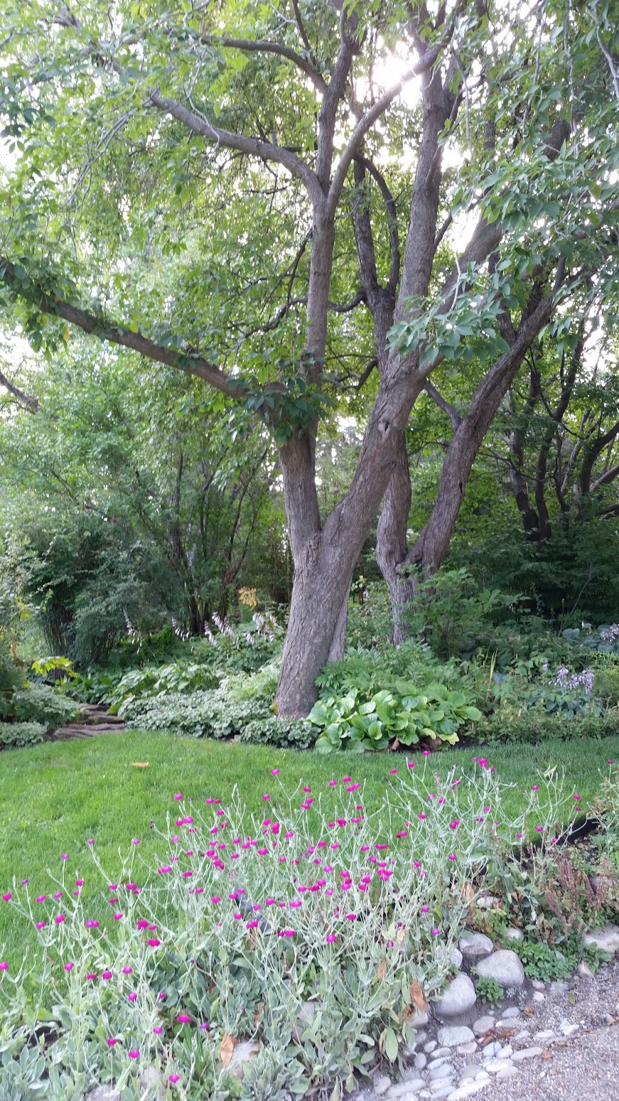 Renaissance Men: Calgary Parks; Reader Rock Garden