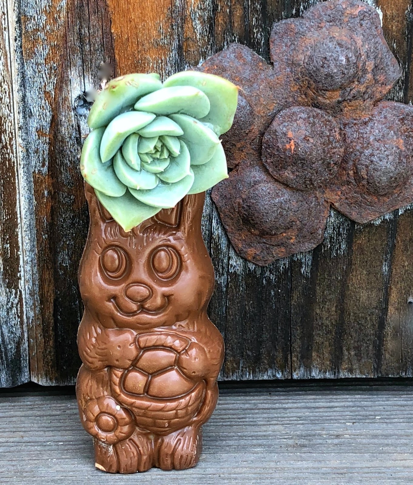 Jac o' lyn Murphy: 5+ Festive ways to use Chocolate Rabbits for Easter