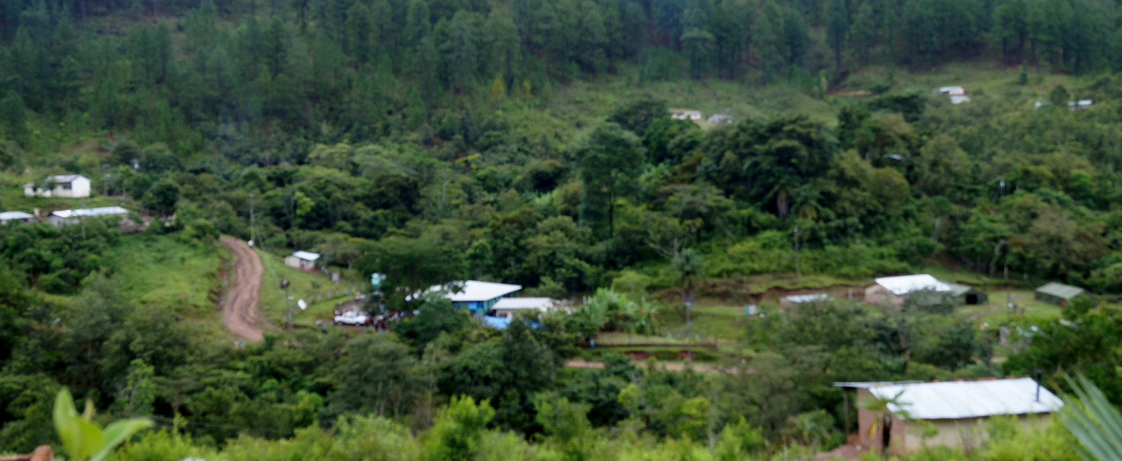 Etnias Tolupan y Garifuna: Etnias Tolupán y Garifuna