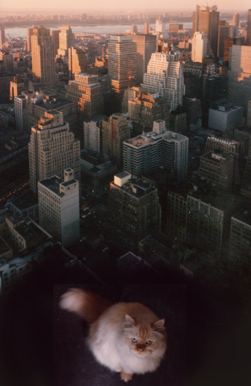 Harry Borgman Art Blog: 2016