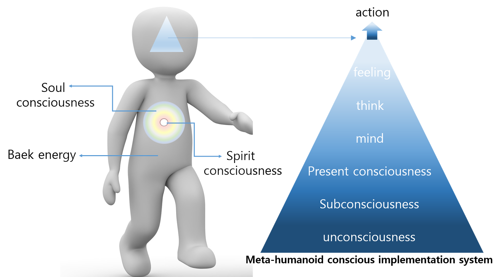 Meta-humanoid Consciousness Implementation System and Oneness-Consciousness